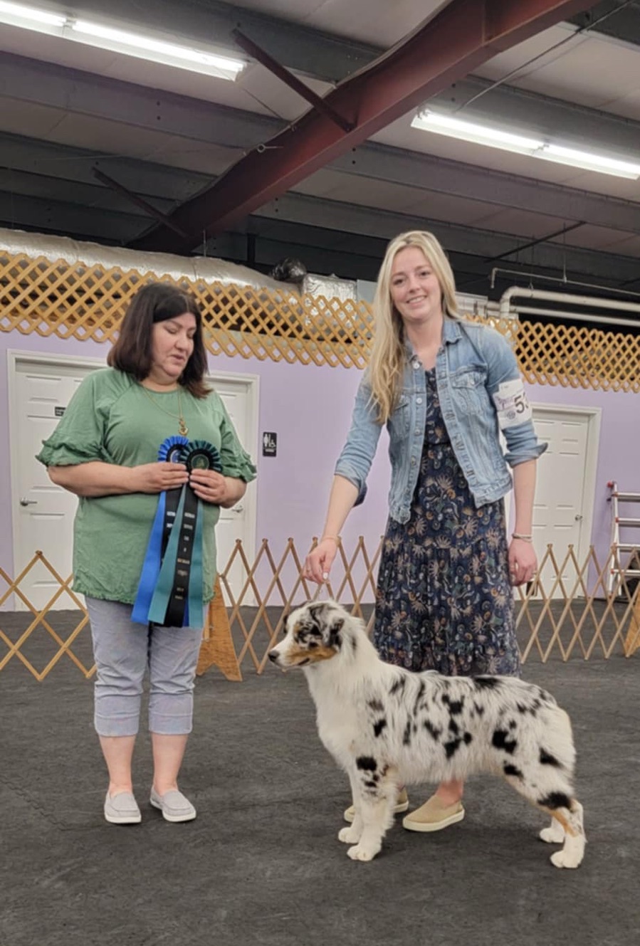 News – CrossDrive Farm Australian Shepherds